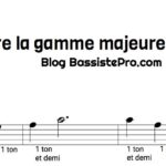 Apprendre facilement son manche de guitare basse [ASTUCES]