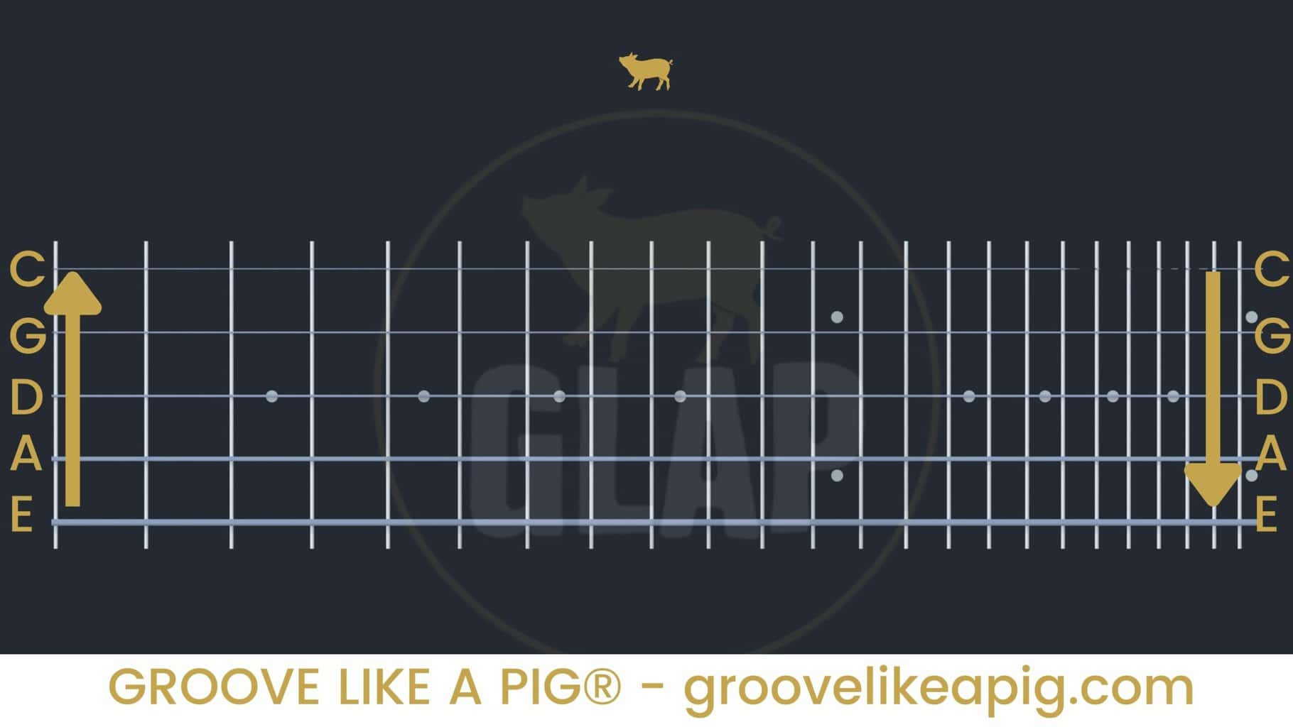 Basse 4 cordes ou 5 cordes : Comment choisir la bonne